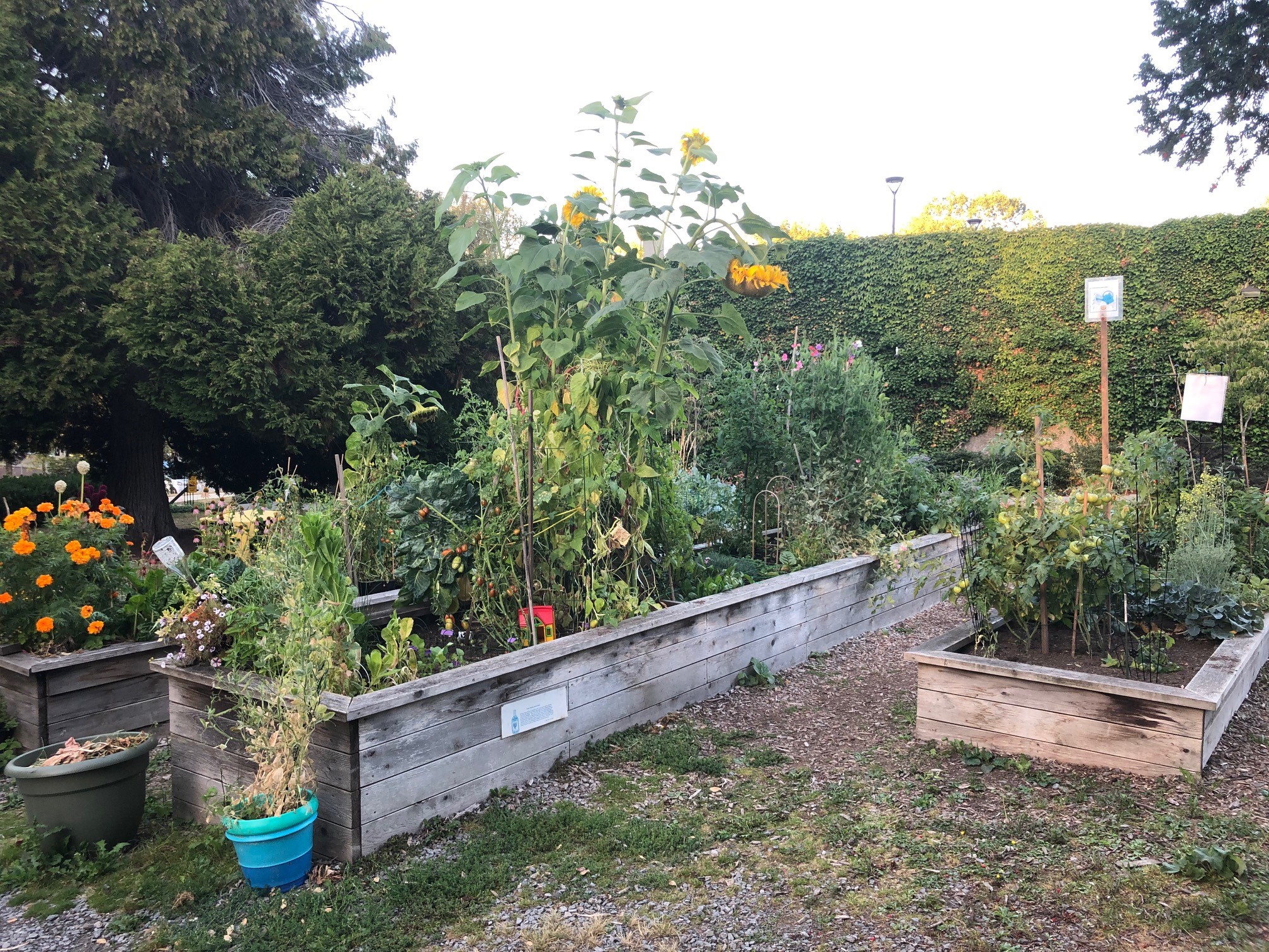 Green Gardening - Managing Earth
