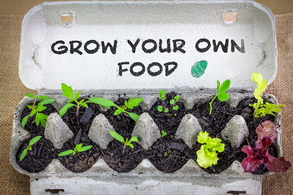 Growing Your Own Food - Managing Earth